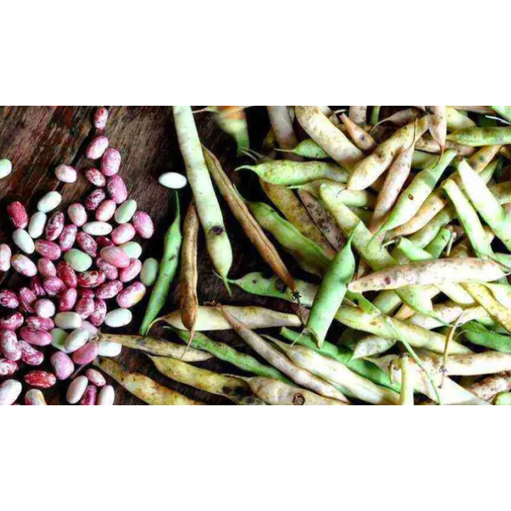 Fresh Beans (Produce of Uganda) Per Kilo ** beans are stored within po ...